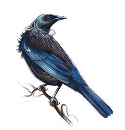 Potton & Burton In the garden - Potton & Burton