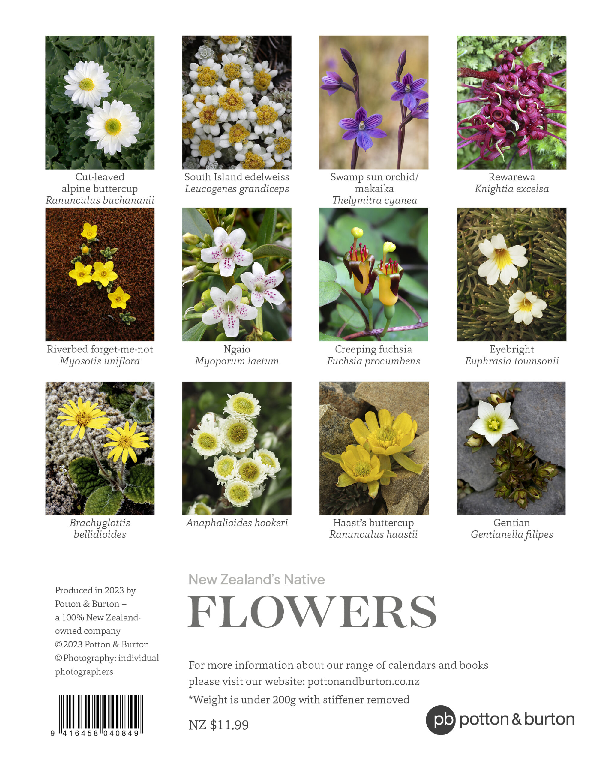 2025 Calendars For Sale Nz New Zealand Yalda Harper