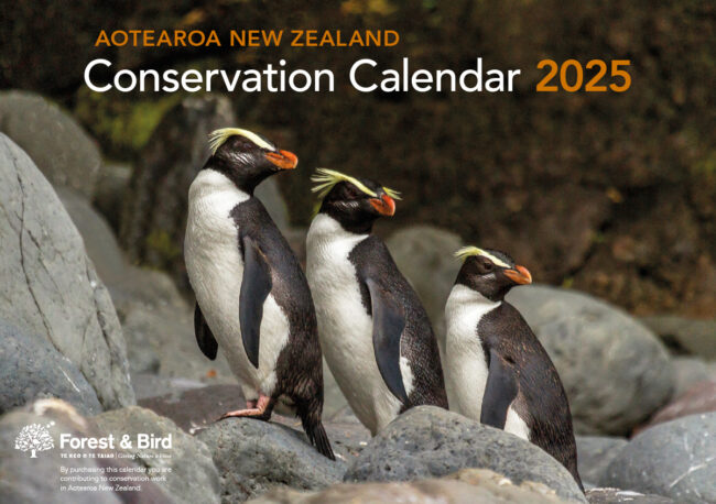 2025 New Zealand Conservation Calendar - Potton & Burton