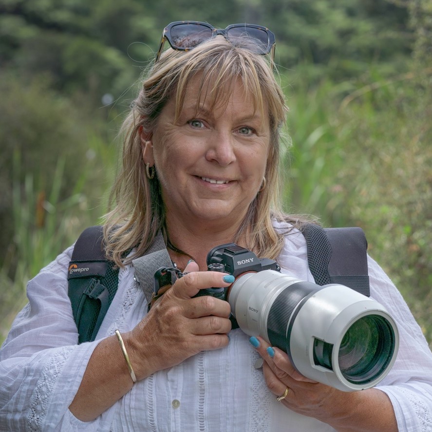 Paula Vigus - Potton & Burton